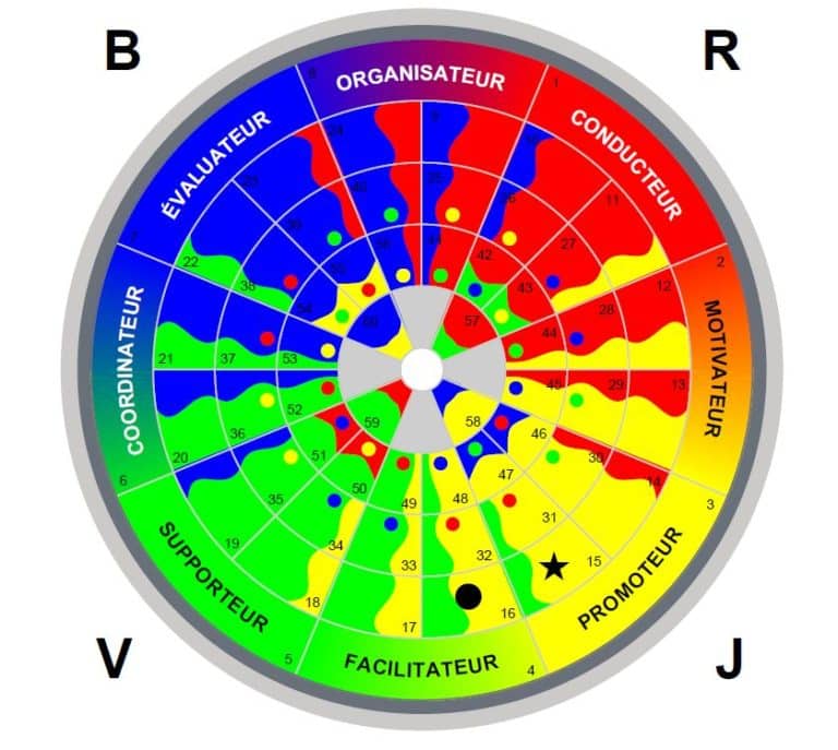 Roue Insights - Amplitude formation